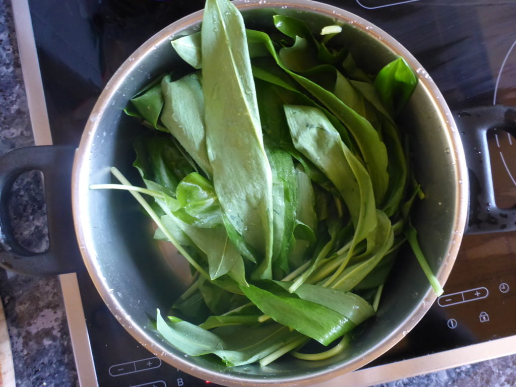 Wild Garlic Chicken Wrapped in Bacon With Creamy mustard sauce - Ester ...