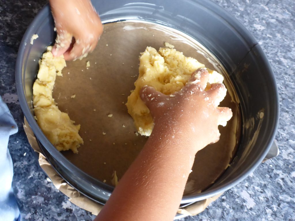 Easy German Blueberry Cheesecake - Ester kocht