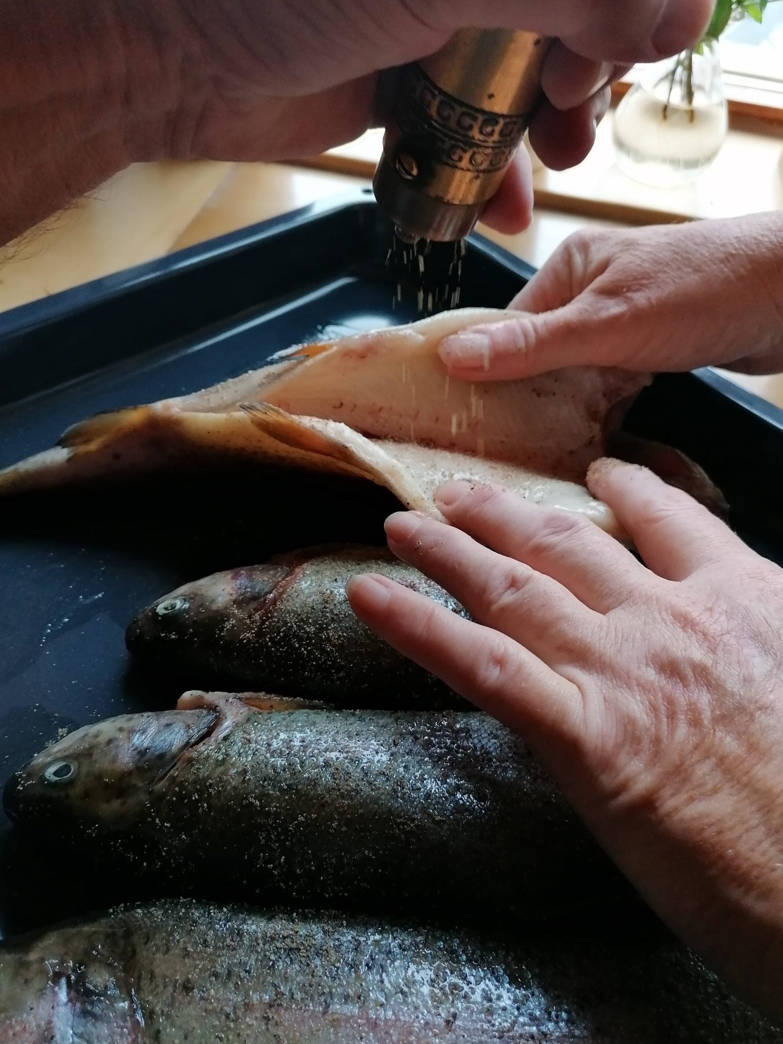 Baked Fish With White Wine Cream Sauce - Ester kocht