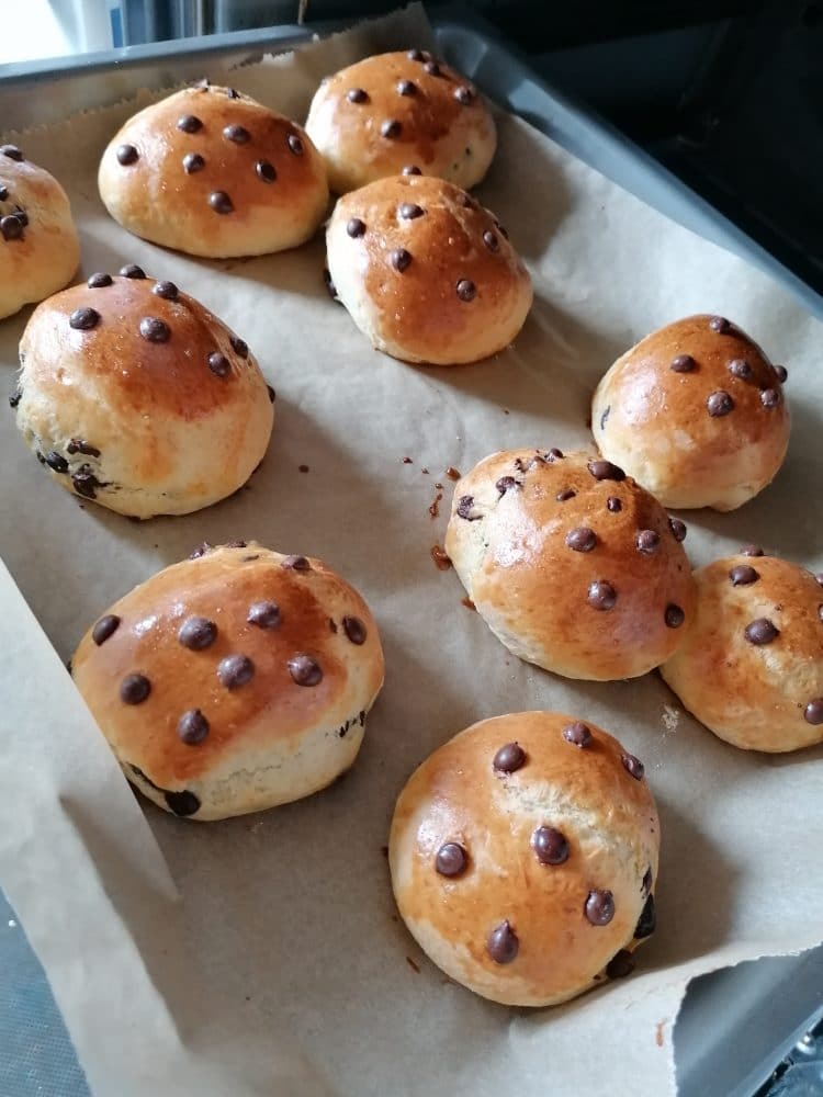 Chocolate Chip Buns WITHOUT Yeast - Ester kocht