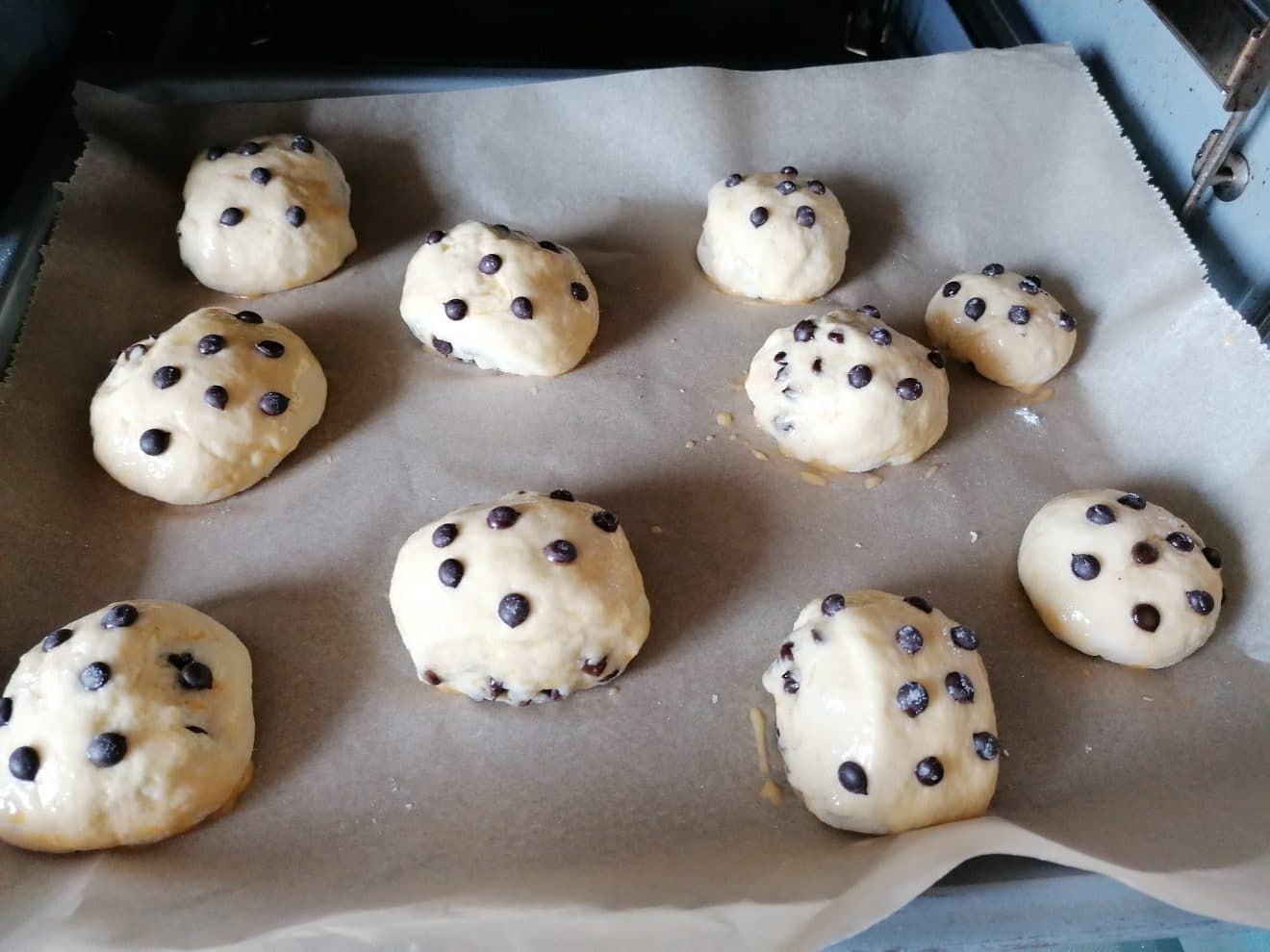 Chocolate Chip Buns WITHOUT Yeast - Ester kocht