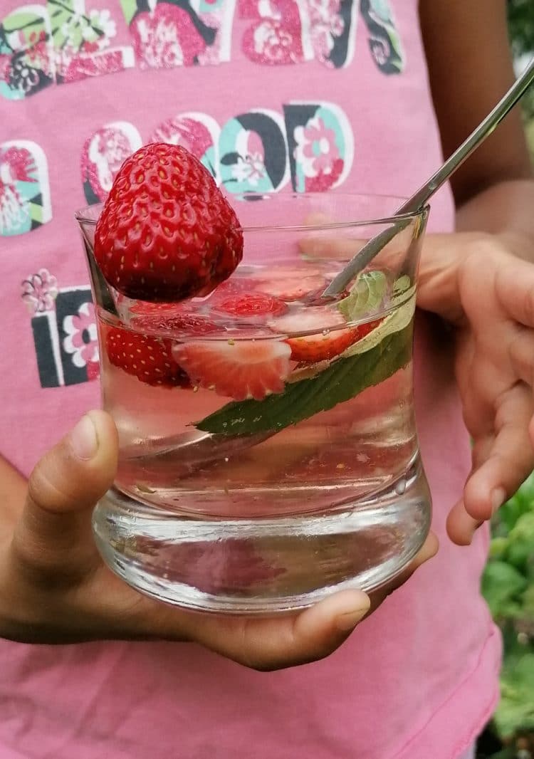 German Sparkling Strawberry Punch Non Alcoholic - Ester kocht