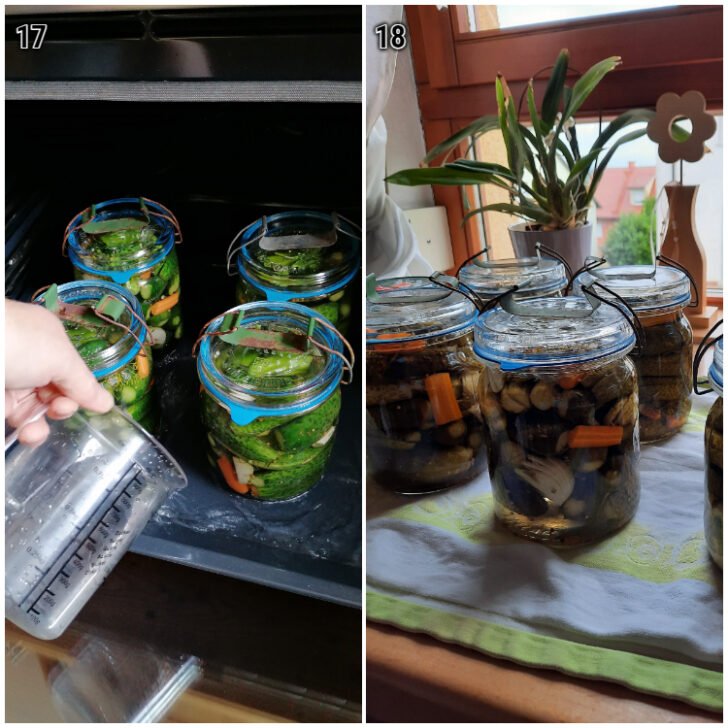 Authentic German Dill Pickles Recipe (Gewürzgurken) - Ester kocht
