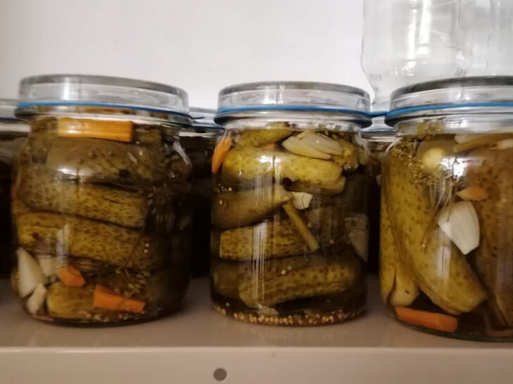 Authentic German Dill Pickles Recipe (Gewürzgurken) - Ester kocht