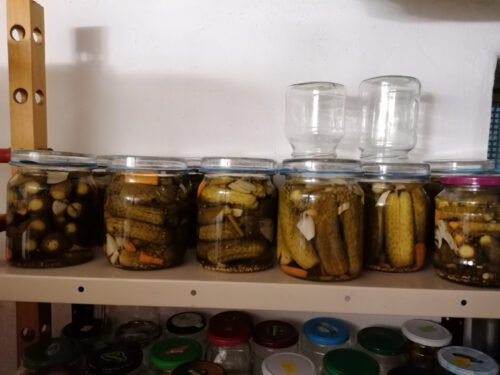 Authentic German Dill Pickles Recipe (Gewürzgurken) - Ester kocht