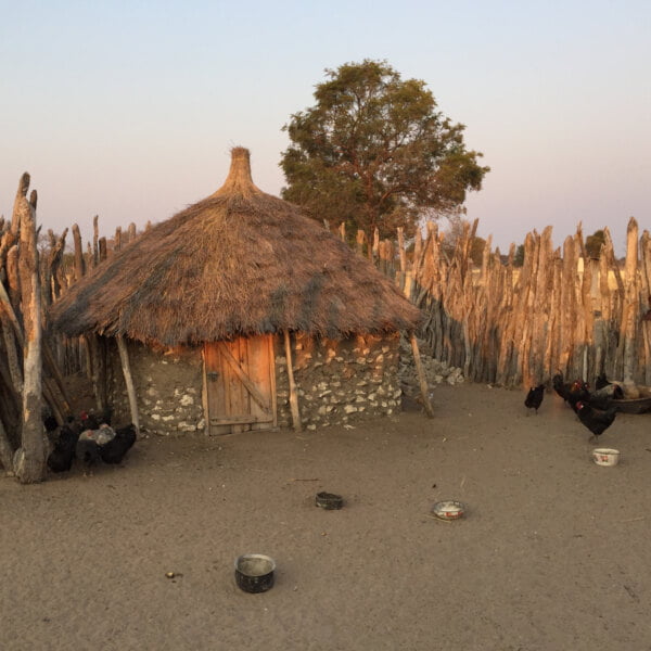 Namibian Hard Body Chicken Stew (Marathon Chicken Recipe) - Ester kocht