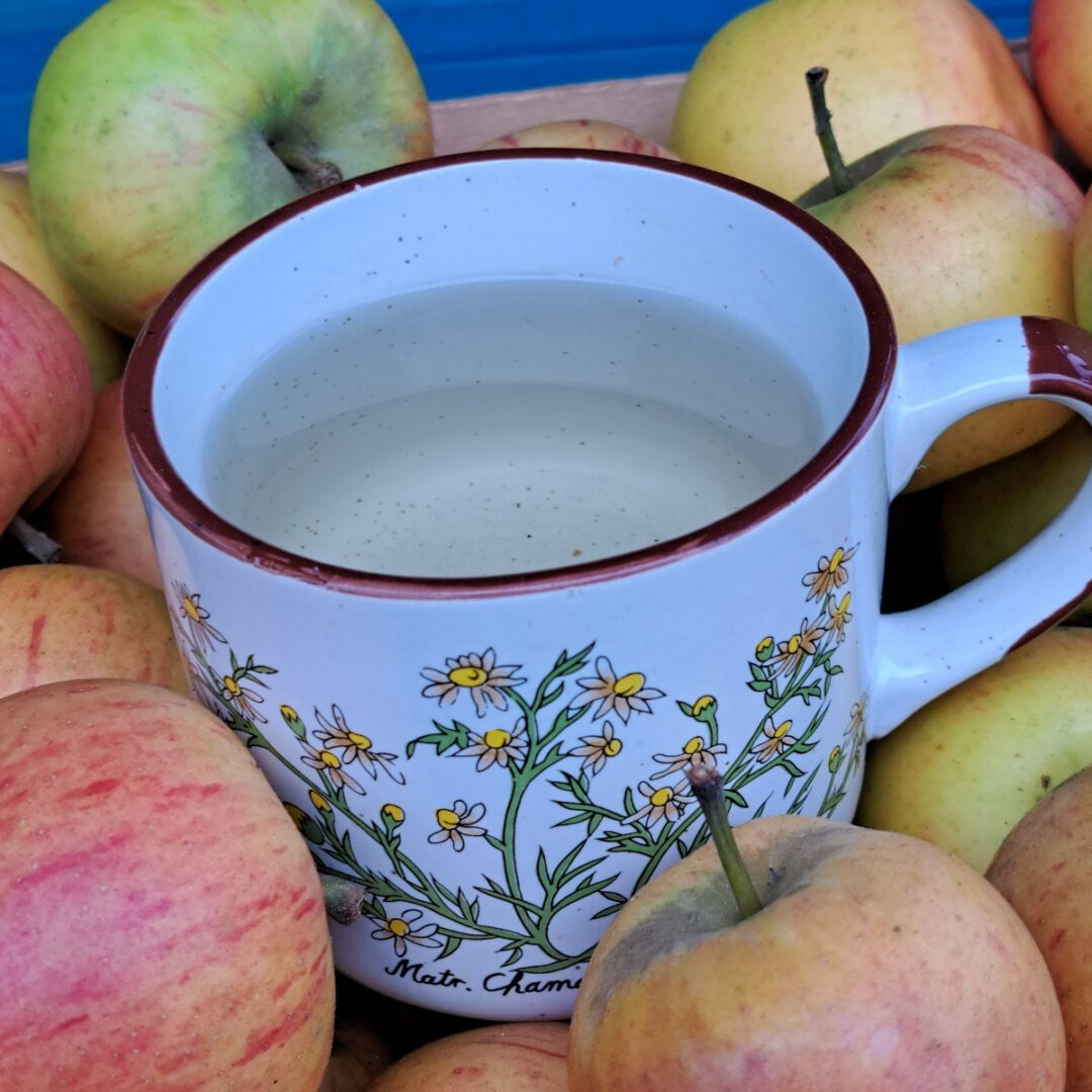 11 Feine und schnelle Rezepte mit Apfel - Ester kocht